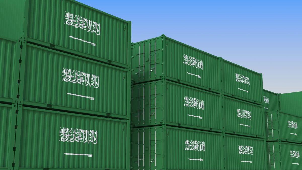 Saudi logistics growth seen with new zones